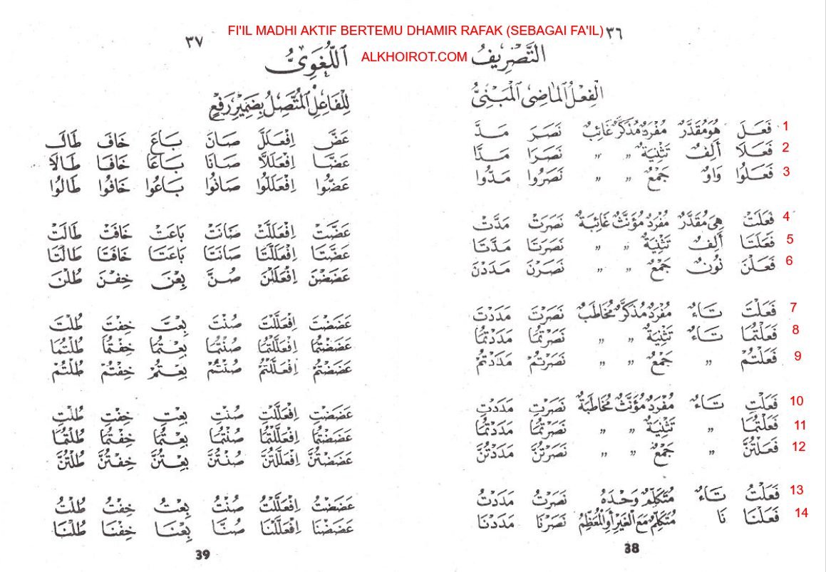 Intip Yuk! Ini nih Contoh Tashrif Lughawi yang Mudah untuk Dipahami ...